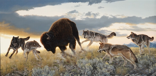 Al Agnew - Nature Art, Commissions