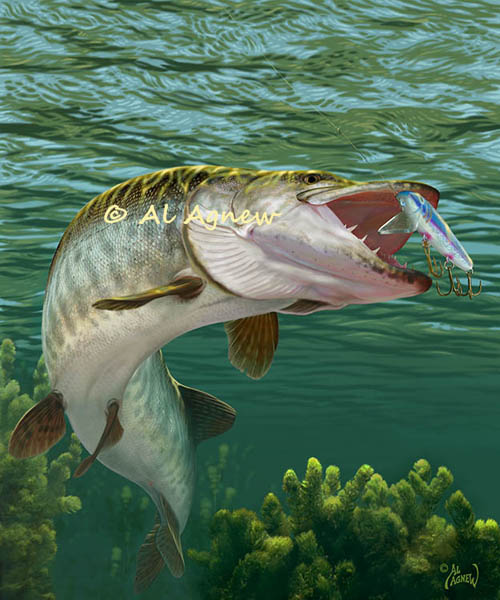 Al Agnew - Nature Art, Original Paintings