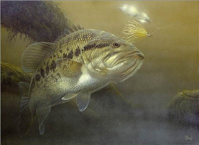 Al Agnew - Nature Art, Fine Art Prints